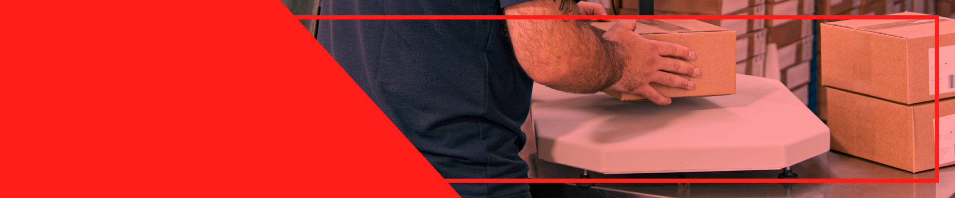 Home - Reflex Systems